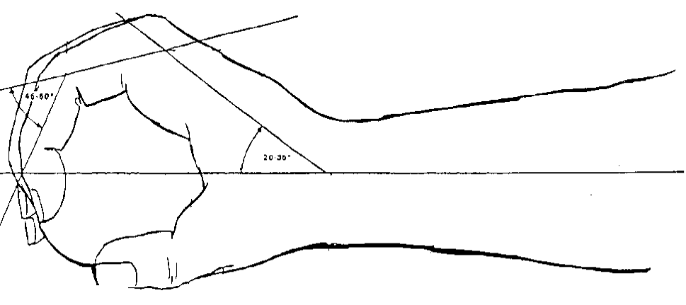 Positioning the upper limb for 3D scanning